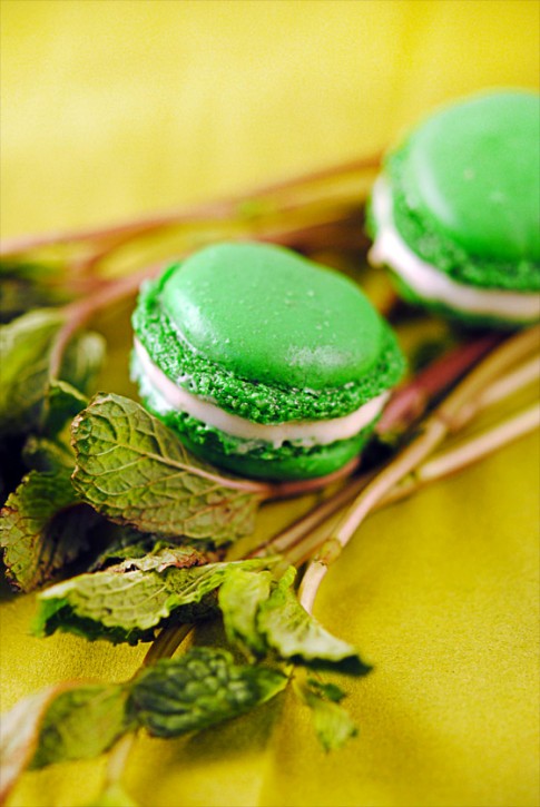 StellA Cuisine - Recettes faciles et rapides